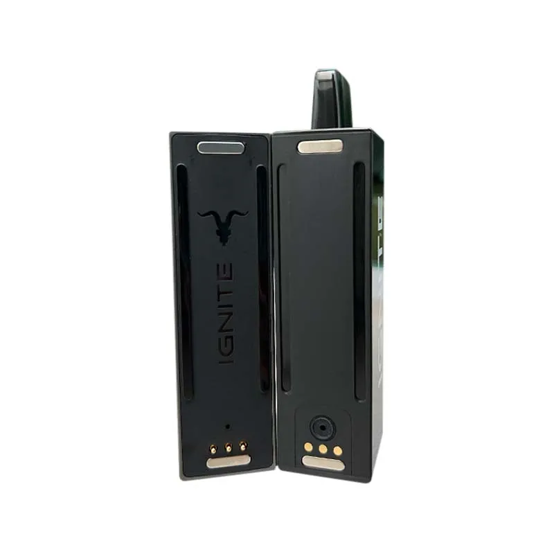 Kit Pod Ignite P100 Bateria + Cartucho 10.000 Puffs Metalic Grey - 2Vapers