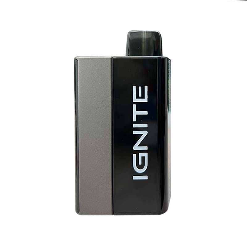 Kit Pod Ignite P100 Bateria + Cartucho 10.000 Puffs Metalic Grey - 2Vapers
